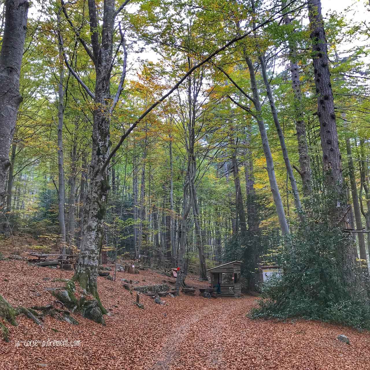 Cascades des Anglais, dans la forêt de Vizzavona en Corse
